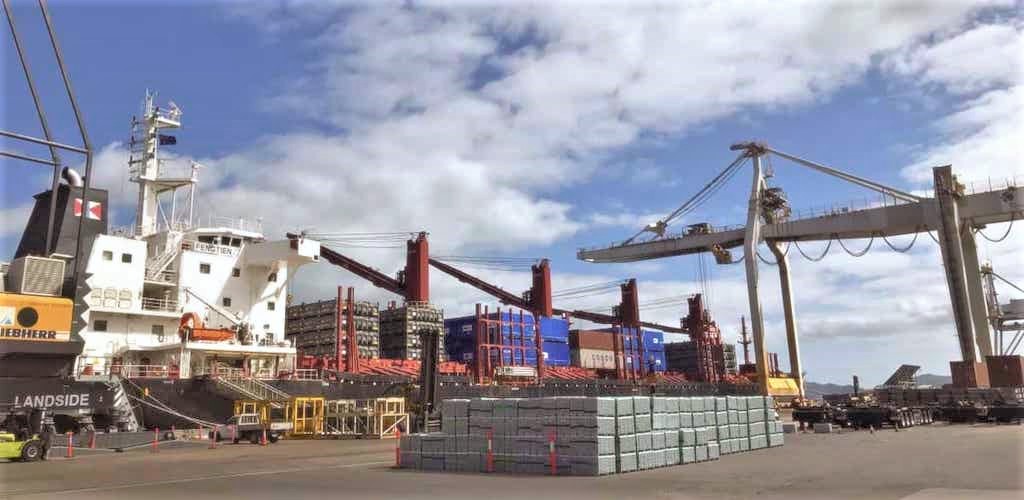 US Breakbulk Terminals Face Container Pressure | Breakbulk