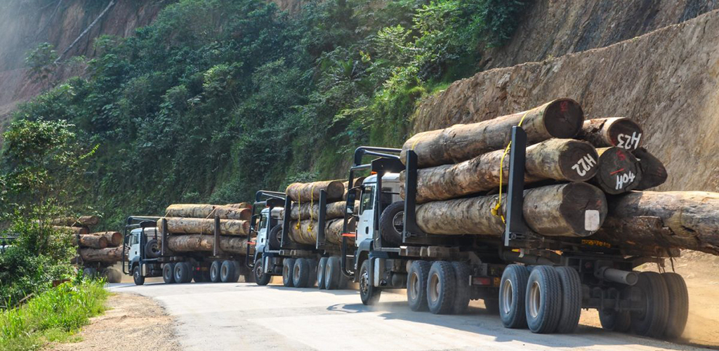 Gabon’s Shift in Exports Draw Port Investment | Breakbulk